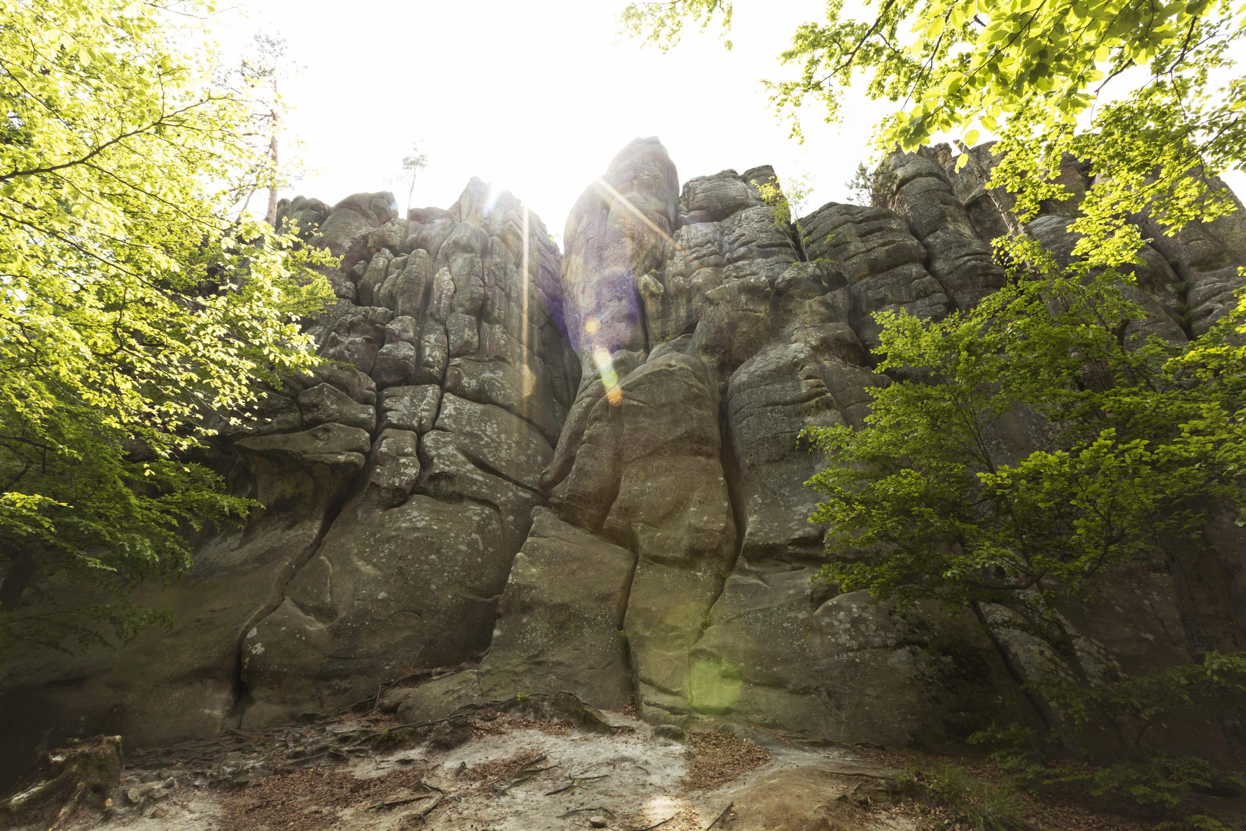 Top Scenic Places to Hike in Wisconsin Dells This Season.